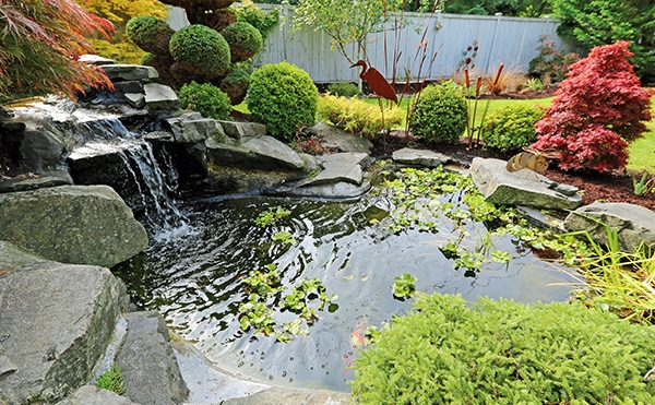 Spring Pond Start Up and Cleaning - Resources & Blog: Ponds, Seawalls ...
